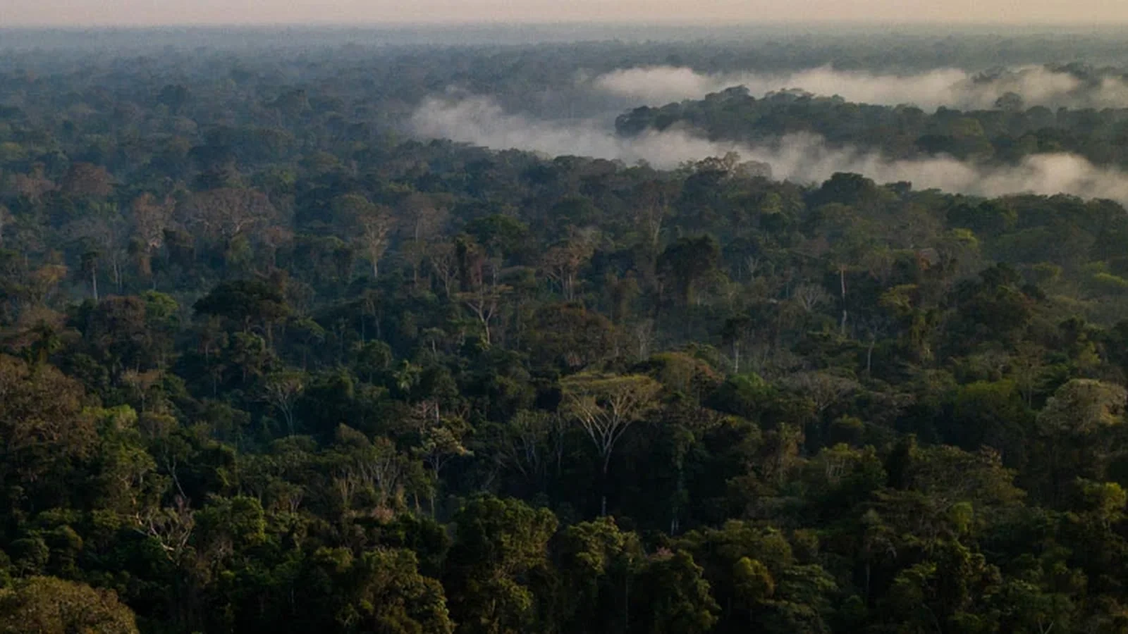 100 Things to do in the Amazon Rainforest