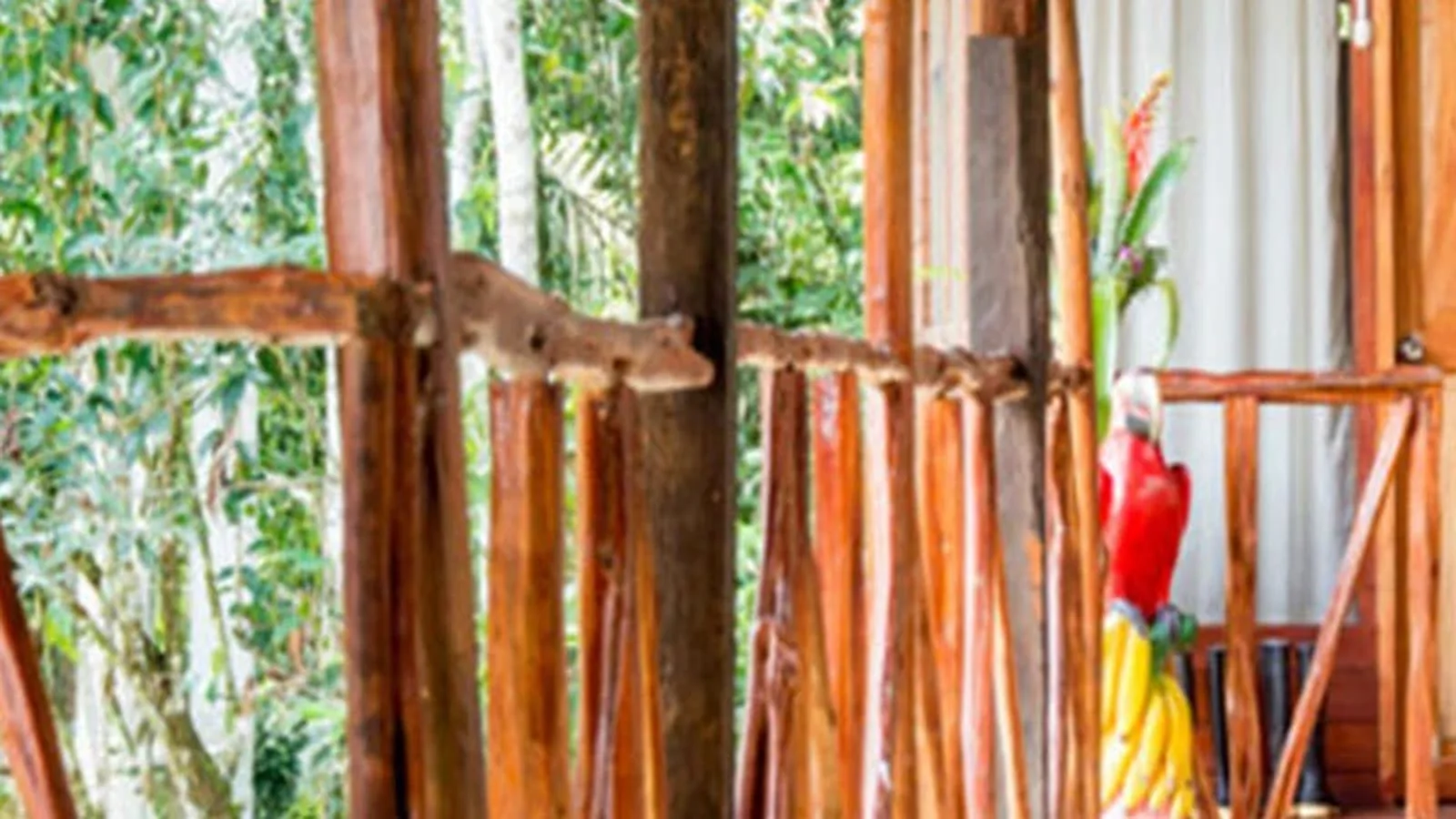 Amazon Rainforest Zipline