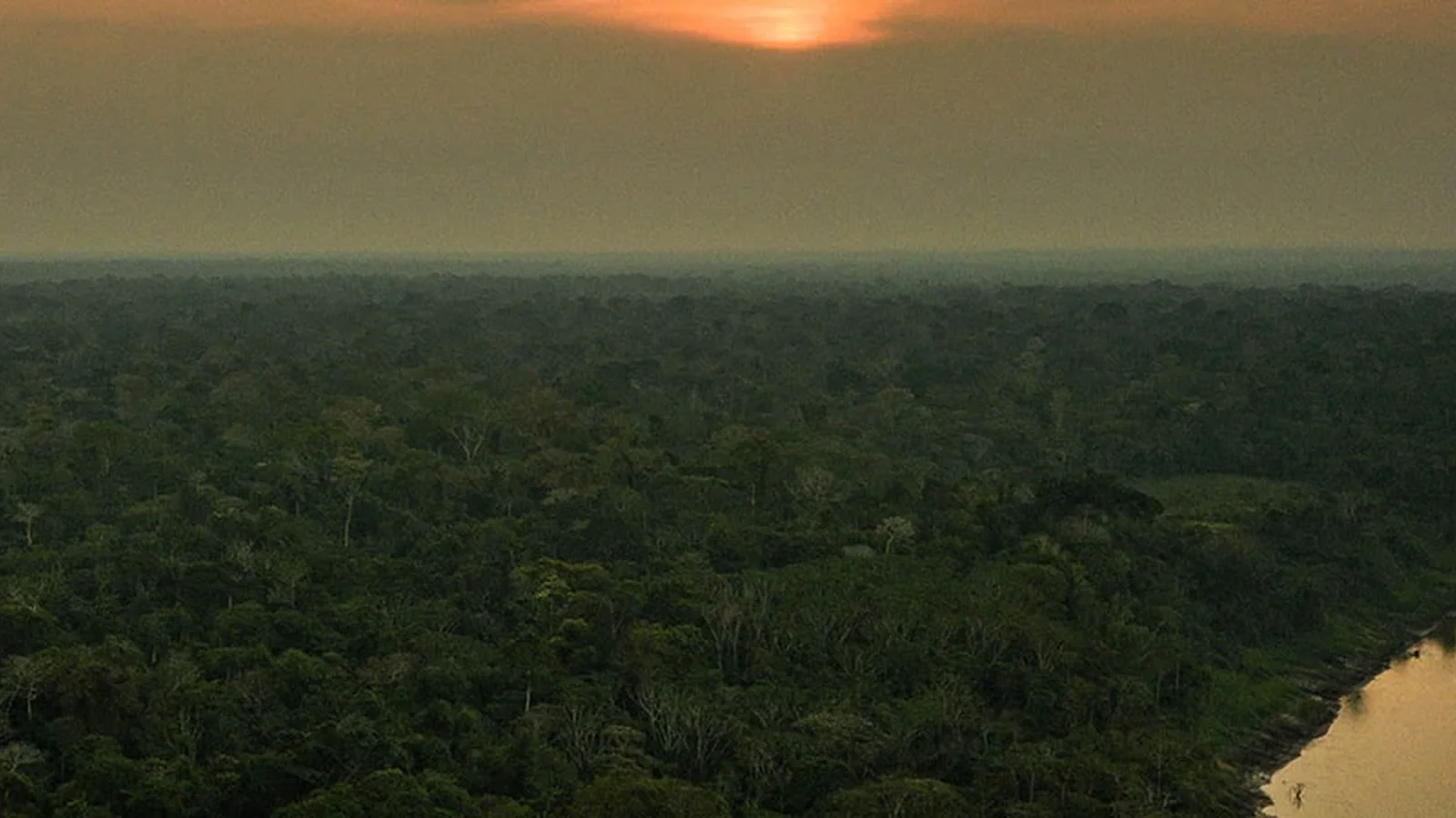 The Best Areas of Amazon Jungle To Visit In Peru: Make The Most Of Your ...