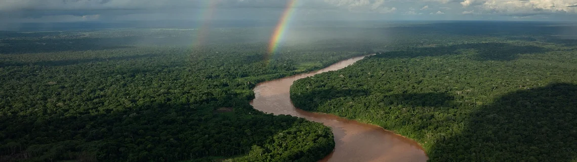 The Best Time To Visit The Amazon Rainforest