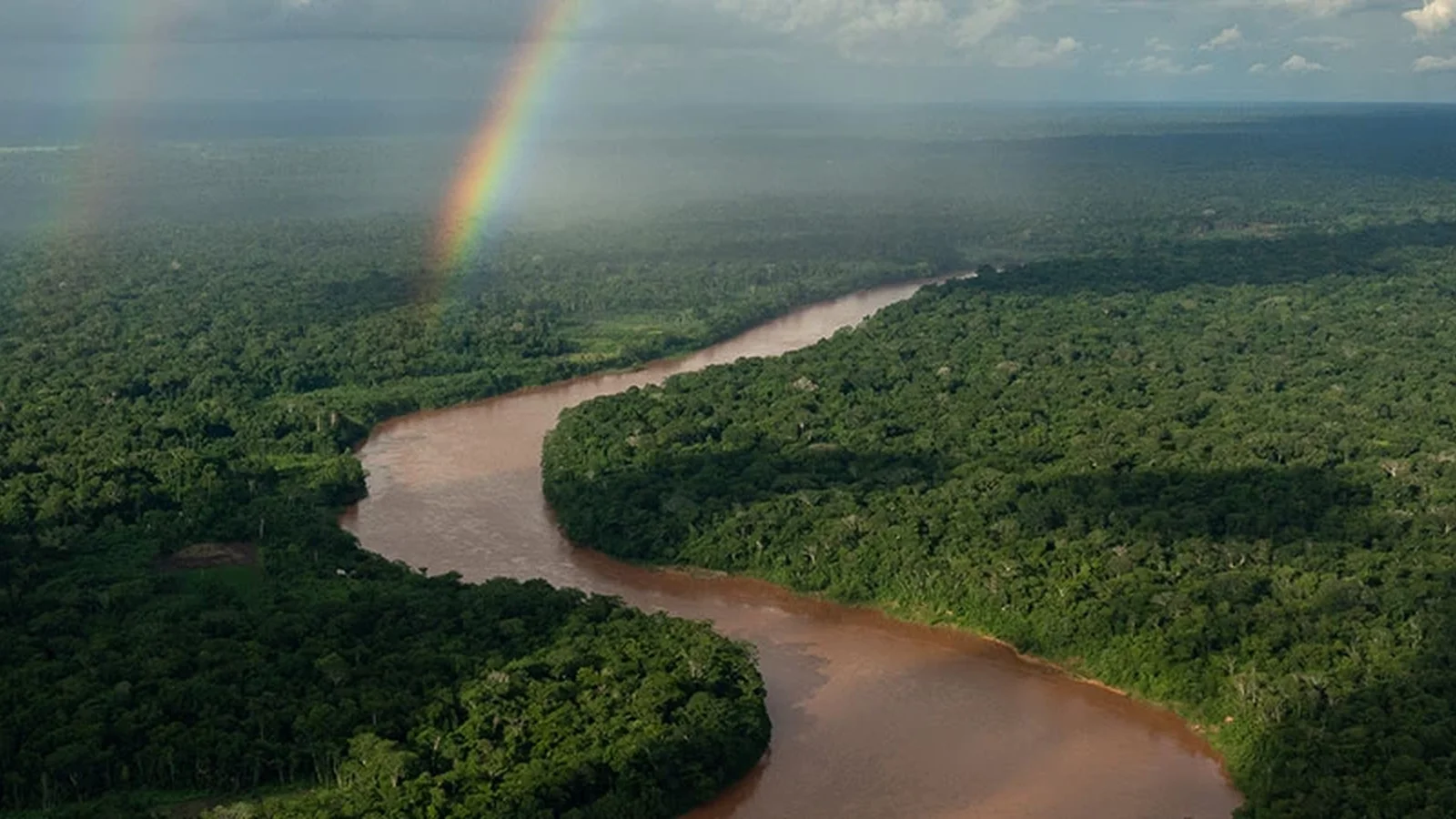 The Best Time To Visit The Amazon Rainforest