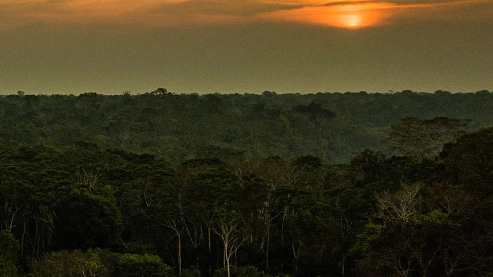 The Top 15 National Parks & Nature Reserves in Peru