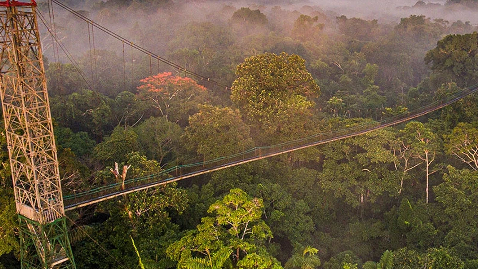 The Top 4 Amazon Rainforest tours from Coca