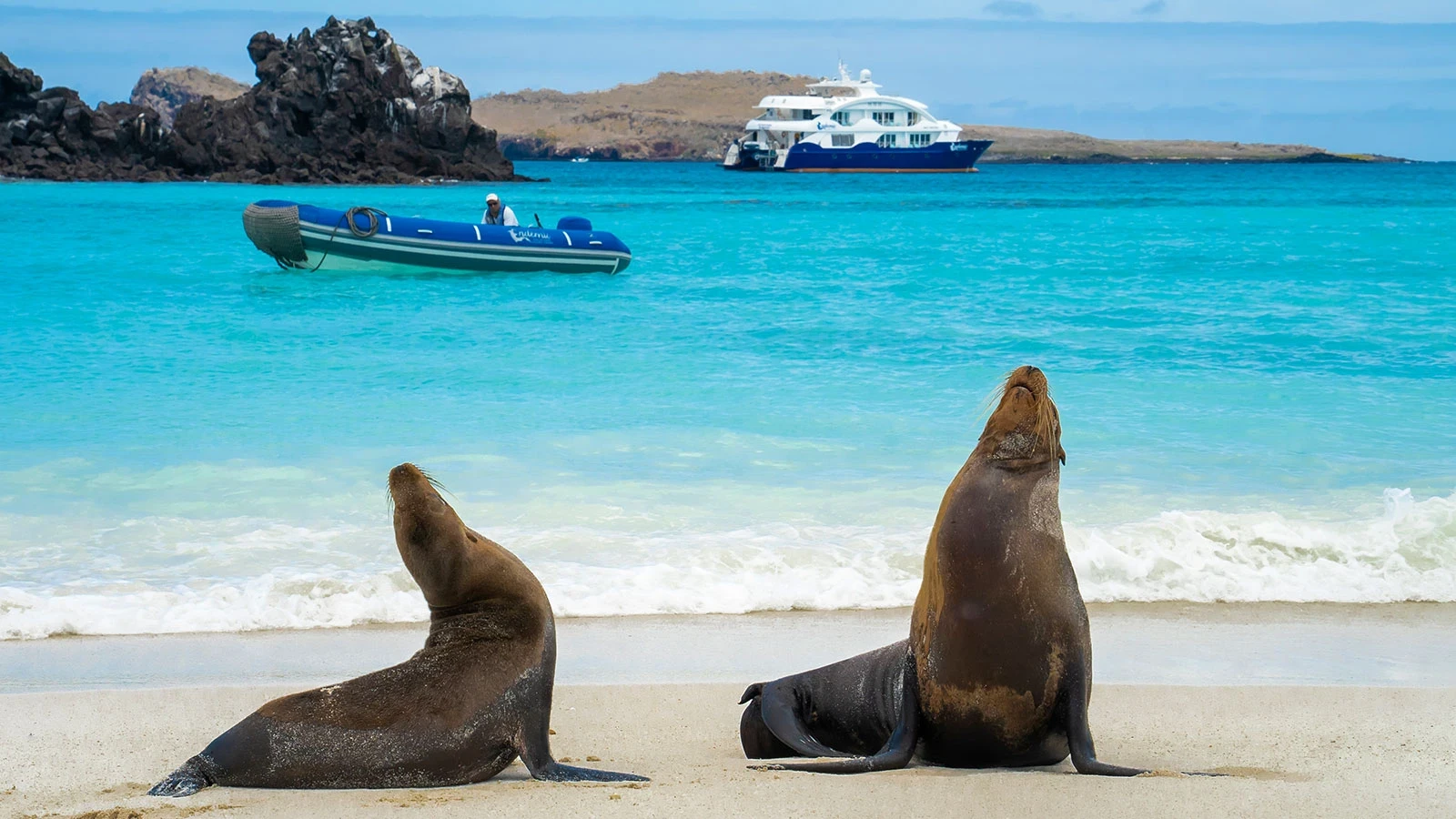 3 Top Galapagos Islands 5-day Tours