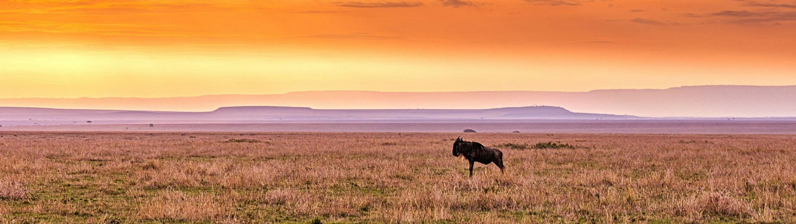 Kenya Tourist Destinations Tourist Attractions In Kenya | PlanetWare
